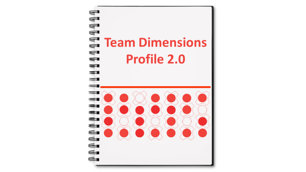 3_Team Dimensions Profile - Rainmaker